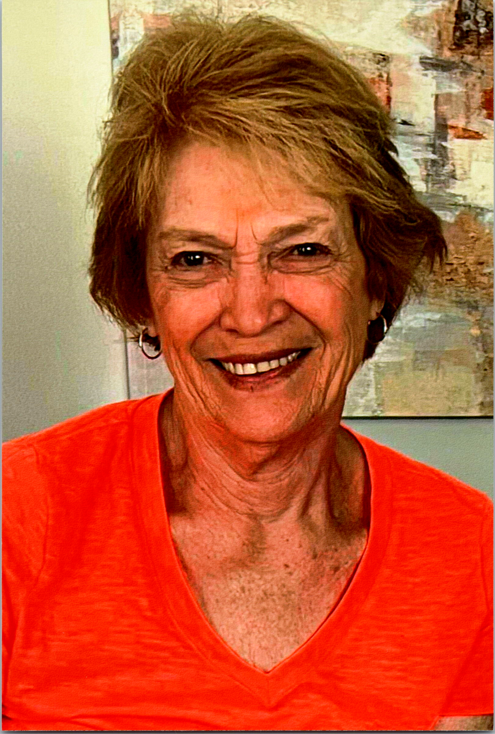 Carol Ann DiChiro — Obituary | Vito-Nero Funeral Home